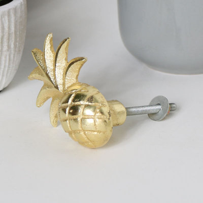 Bay Isle Home Lokki 75mm Pineapple Novelty Knob | Wayfair.co.uk